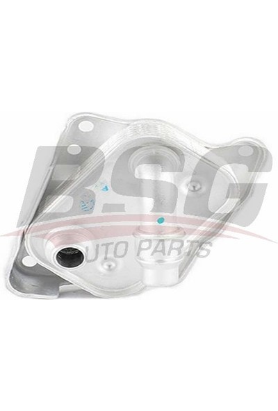 Bsg 15-506-005 Yag Sogutucusu 15506005 (WK161295)