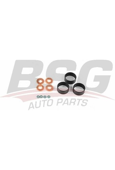 Bsg 30-116-147 Enjektor Oring Takimi 30116147 (WY823249)