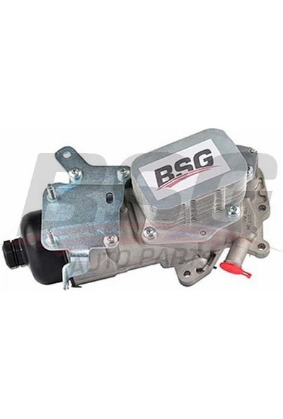 Bsg 30-116-106 Yag Sogutucusu 30116106 (WA591649)