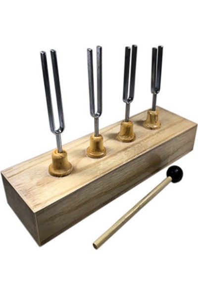 ECE Diyapozon 4'lü Set 256 Hz 320 Hz 384 Hz 512 Hz Tokmaklı ECE Diyapozon 4'lü Set 256 Hz 320 Hz 384 Hz 512 Hz Tokmaklı