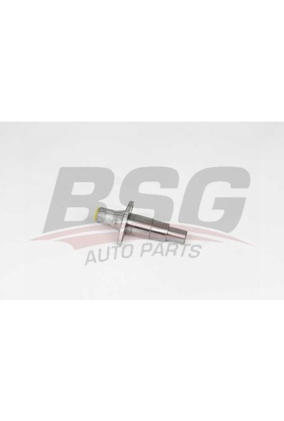 Bsg 60-109-019 Eksantrik Zincir Gergisi 60109019 (WA871528)