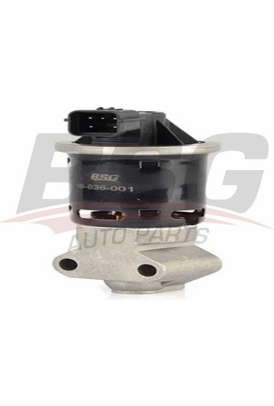 Bsg 16-836-001 Egr Valfi 16836001 (WE161949)