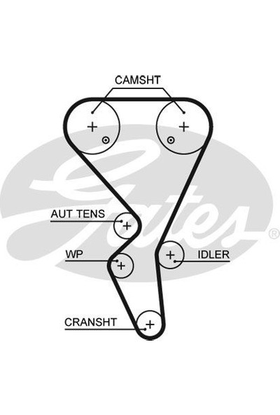 Gates 5581XS Eksantrik Kayisi (134X254) 134 Dis P206 P307 1.6 Partner 1.6 00- CT1065 081685 0816H6 (WE116764)