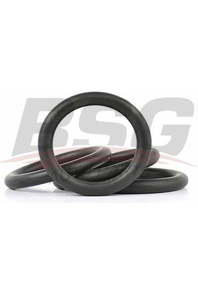 Bsg 30-922-075 Emme Manifold Oringi Takim 30922075 (WP254571) Bsg 30-922-075 Emme Manifold Oringi Takim 30922075 (WP254571)