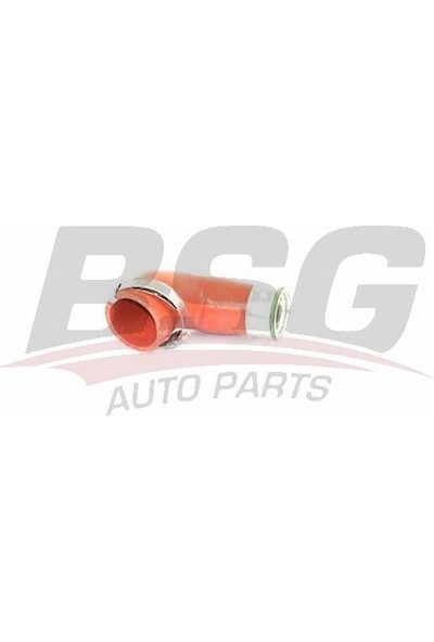 Bsg 90-720-134 Turbo Hortumu 90720134 (WA313288)
