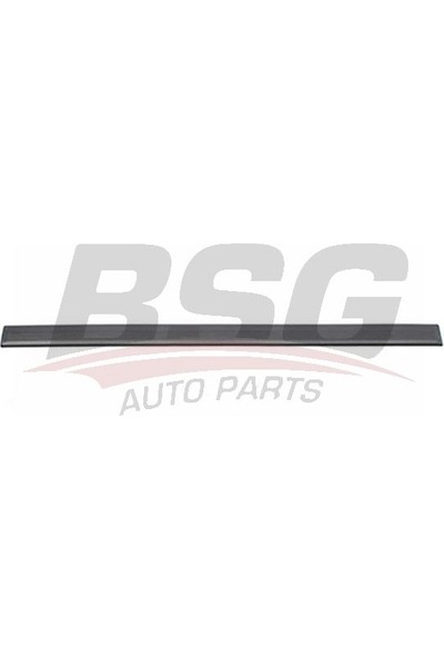 Bsg 30-924-053 Kapi Bandi On Sag 30924053 (WT754113)