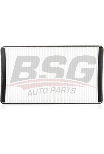 Bsg 60-145-010 Polen Filtresi 60145010 (WC576966)