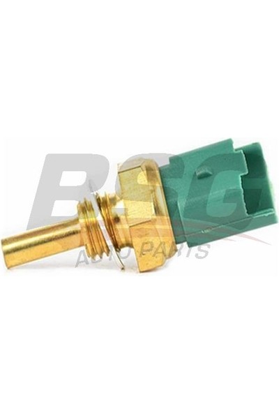 Bsg 65-840-026 Su Sicaklik Musuru 65840026 (WH446423)