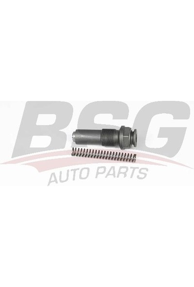 Bsg 60-109-024 Eksantrik Zincir Gergisi 60109024 (WA461946)