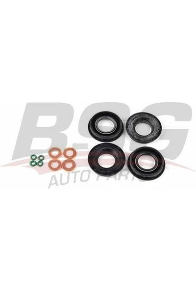 Bsg 30-116-151 Enjektor Kecesi 30116151 (WK433475)