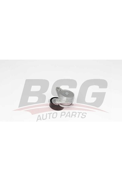 Bsg 90-615-053 V Kayis Gergisi Komple 90615053 (WE285184)
