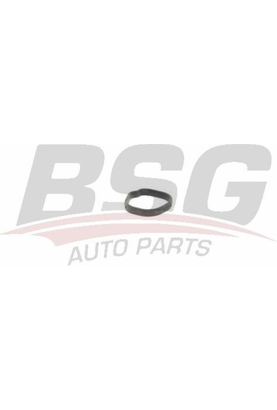Bsg 65-720-162 Termostat Govde Contasi 65720162 (WN747167) Bsg 65-720-162 Termostat Govde Contasi 65720162 (WN747167)
