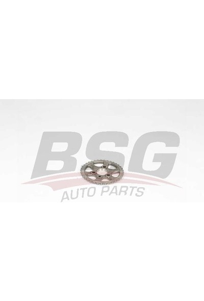 Bsg 60-109-012 Eksantrik Dislisi 60109012 (WM288212)