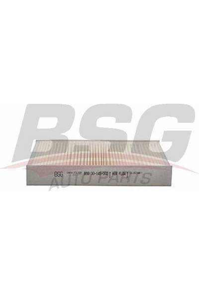 Bsg 30-145-002 Polen Filtresi 30145002 (WA517194)