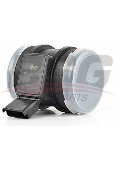 Bsg 70-837-002 Hava Debimetresi 70837002 (WE487873)