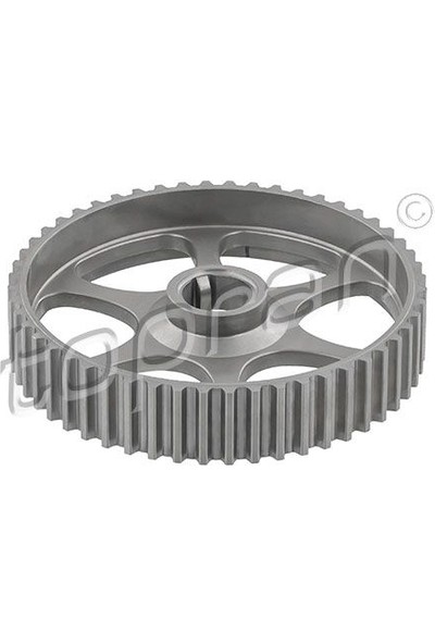 Topran 108025002 Egzantrik Dislisi (Vw Golf 98-06 Passat 01-05 Audi A3 97-03 A4 99-08 A6 98-05 Seat Leon 00-06) 06B109111A (WF948275)