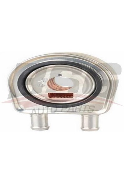 Bsg 40-506-003 Yag Sogutucusu 40506003 (WN477177)