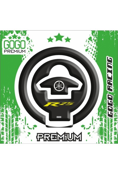 Gogomoto R25 2019 Depo Kapak Pad 008