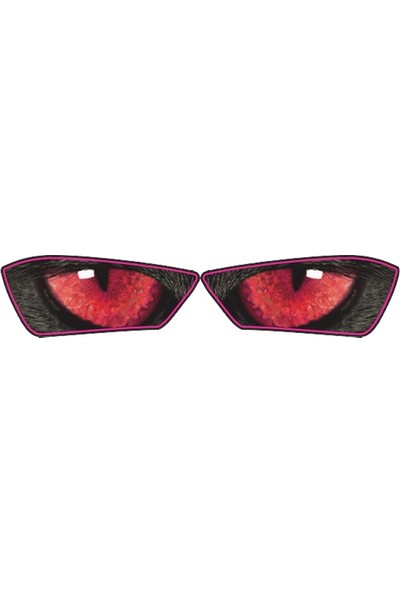 Gogomoto R25 Far Sticker 001