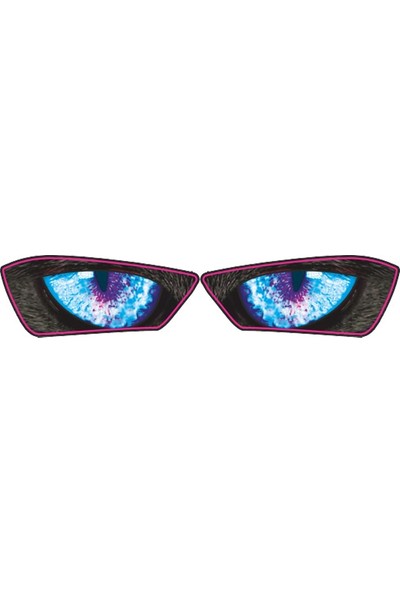 Gogomoto R25 Far Sticker 002