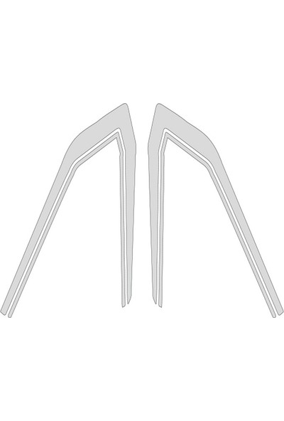 Gogomoto Cg Nikel Depo Şeridi