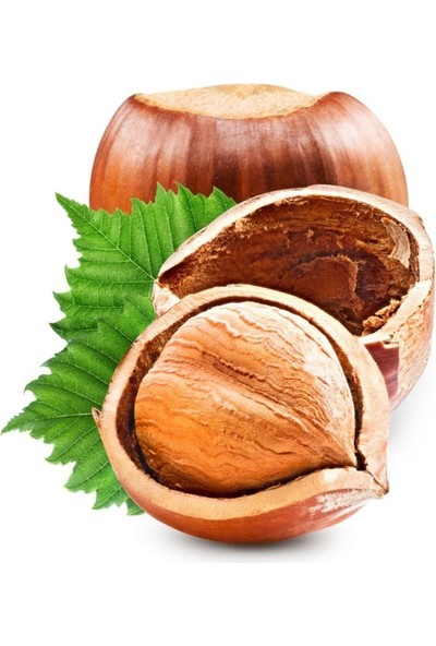 Şanguloğlu Tarım Tüplü Fındık Fidanı Giresun Yağlı 3 Yaş