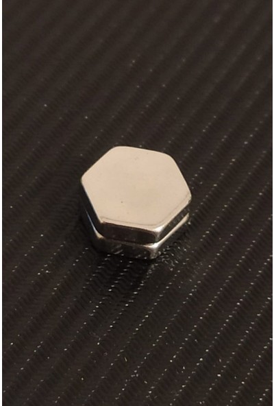 The Collection Gümüş Altıgen Mıknatıslı Küpe 1 Adet 8 mm Mıknatıs Çelik Küpe The Collection Gümüş Altıgen Mıknatıslı Küpe 1 Adet 8 mm Mıknatıs Çelik Küpe