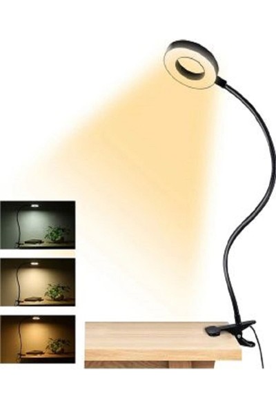 Fikir Store Üç Renkli USB Li Akrobat Masa Lambası Fikir Store Üç Renkli USB Li Akrobat Masa Lambası