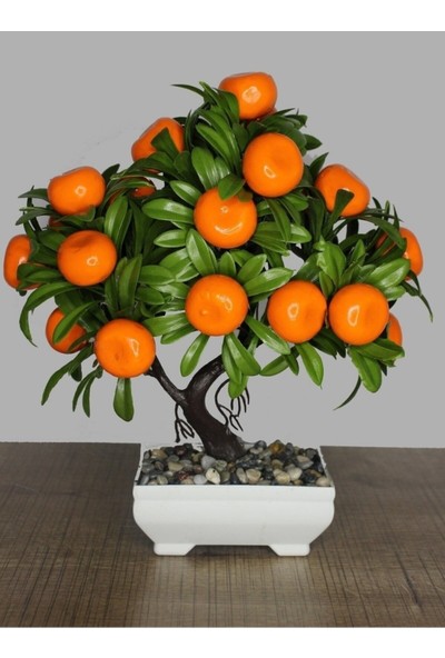 Ep İletişim Küçük Saksıda Mandalina Ağacı