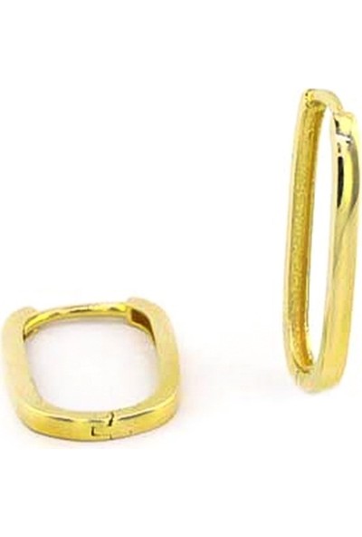 Altınkaynak 14 Ayar Altın Küpe