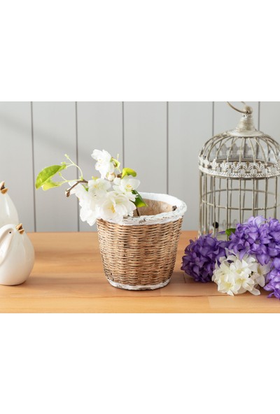 Madame Coco Allison Büyük Saksı - Toprak