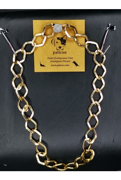 Paticoo Altın Kaplama Yassı Köpek Zinciri ( Hafif, Kafadan Geçirmeli )