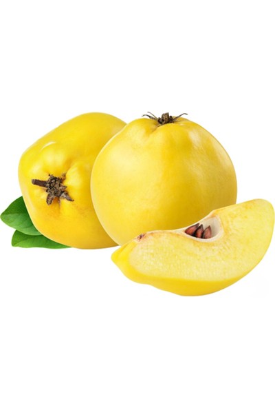 Sebze Meyve Dünyası Ayva 5 kg Sebze Meyve Dünyası Ayva 5 kg