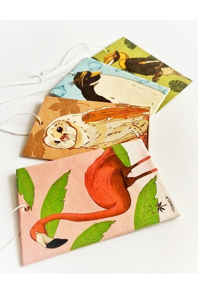 Big Jungle Araç Kokusu 4'lü Set