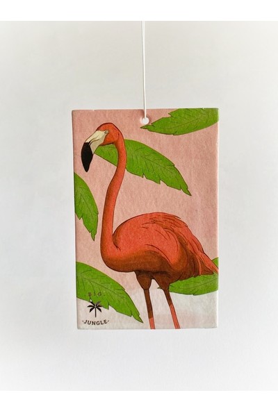 Big Jungle Oto Kokusu