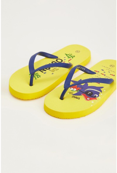 Defacto Erkek Çocuk Köpek Balığı Desenli Parmak Arası Terlik N4308A621SM