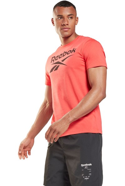Reebok Rı Big Logo Tee Erkek GS1615