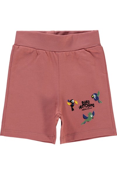 Civil Boys Erkek Çocuk Kapri 2-5 Yaş Kiremit