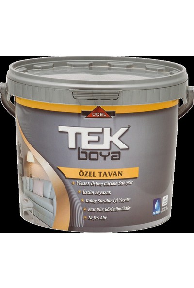 Tek Boya Tavan Boyası Plastik Beyaz 10 kg