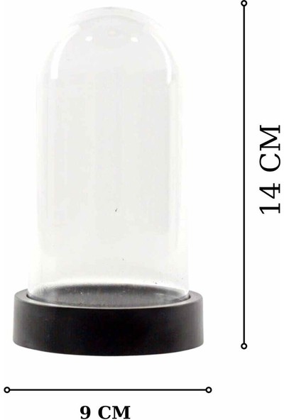 Burdan Eve Işıklı Ters Fanus Boş 9X14 Boş Fanus Işıklı Dekoratif Fanus Burdan Eve Işıklı Ters Fanus Boş 9X14 Boş Fanus Işıklı Dekoratif Fanus