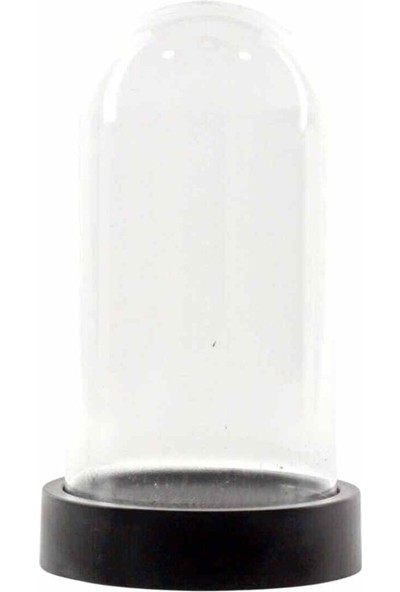 Burdan Eve Ters Fanus Boş 10X18 Boş Fanus Dekoratif Fanus