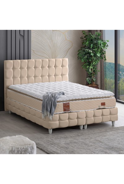 Cesur Rolls Tek Kişilik Baza Başlık Premium Pedli Lüx Yatak Seti Bej