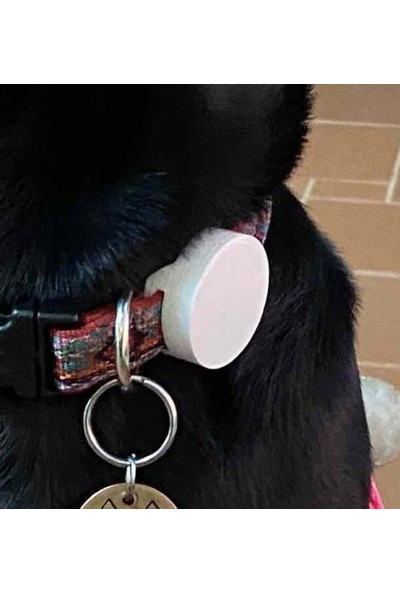 Aldım Geldi Airtag Köpek Yaka Tutucu Plastik Aparat