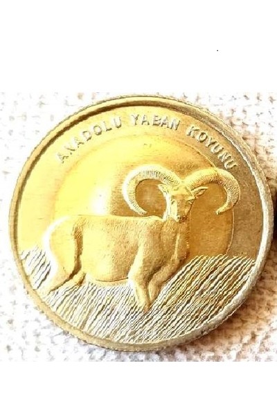 Trakya Koleksiyon Tk ::::anadolu Yaban Koyunu Hayvanlar Serisi Hatıra Parası Bimetal 2015 Çil Trakya Koleksiyon Tk ::::anadolu Yaban Koyunu Hayvanlar Serisi Hatıra Parası Bimetal 2015 Çil