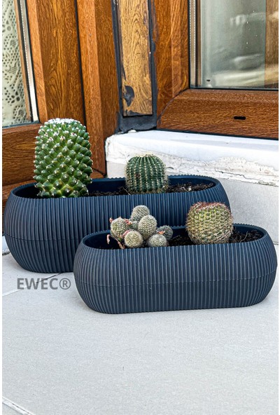 Ewec Uzun Mercan Kaktüs Sukulent ve Çiçek Saksısı, 1 ve 2 No Uzun Mercan Saksı Seti Ewec Uzun Mercan Kaktüs Sukulent ve Çiçek Saksısı, 1 ve 2 No Uzun Mercan Saksı Seti