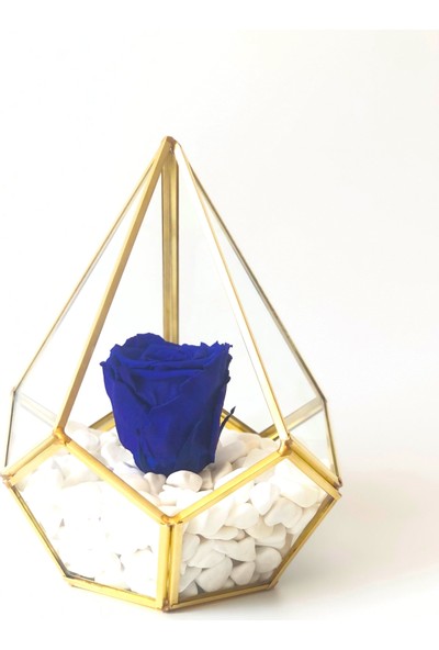 Solmayan Gül Saks Mavi ve Pirinç Dekoratif Cam Fanus Solmayan Gül Saks Mavi ve Pirinç Dekoratif Cam Fanus