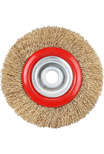 Ctm Daire Saçaklı Fırçası