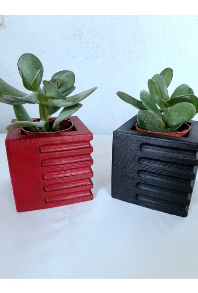Tzcn Beton Saksı Çizgili Geometrik Desenli 2'li Set Tzcn Beton Saksı Çizgili Geometrik Desenli 2'li Set