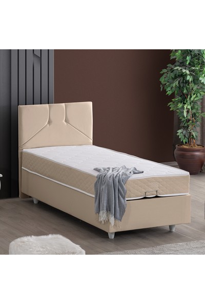 Cesur Wick Tek Kişilik Baza Başlık Letto Yatak Seti Bej