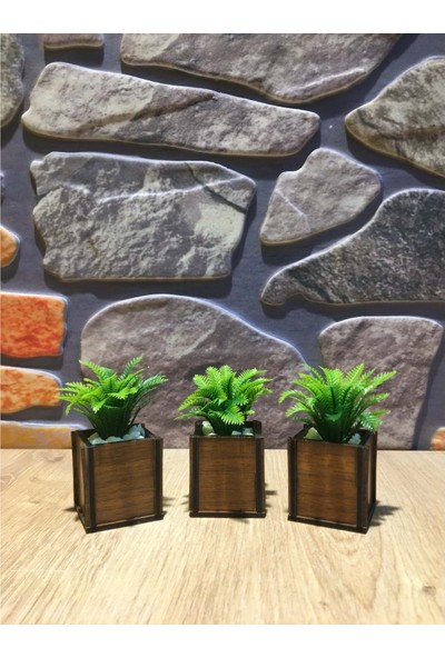 3 Lü Mini Ahşap Saksıda Mini Yeşillik